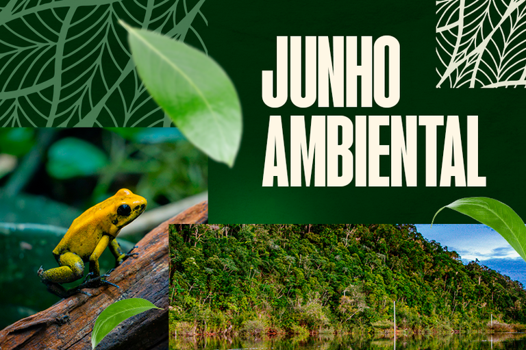 Junho Ambiental: TAC da Carne concilia proteção ambiental e ...